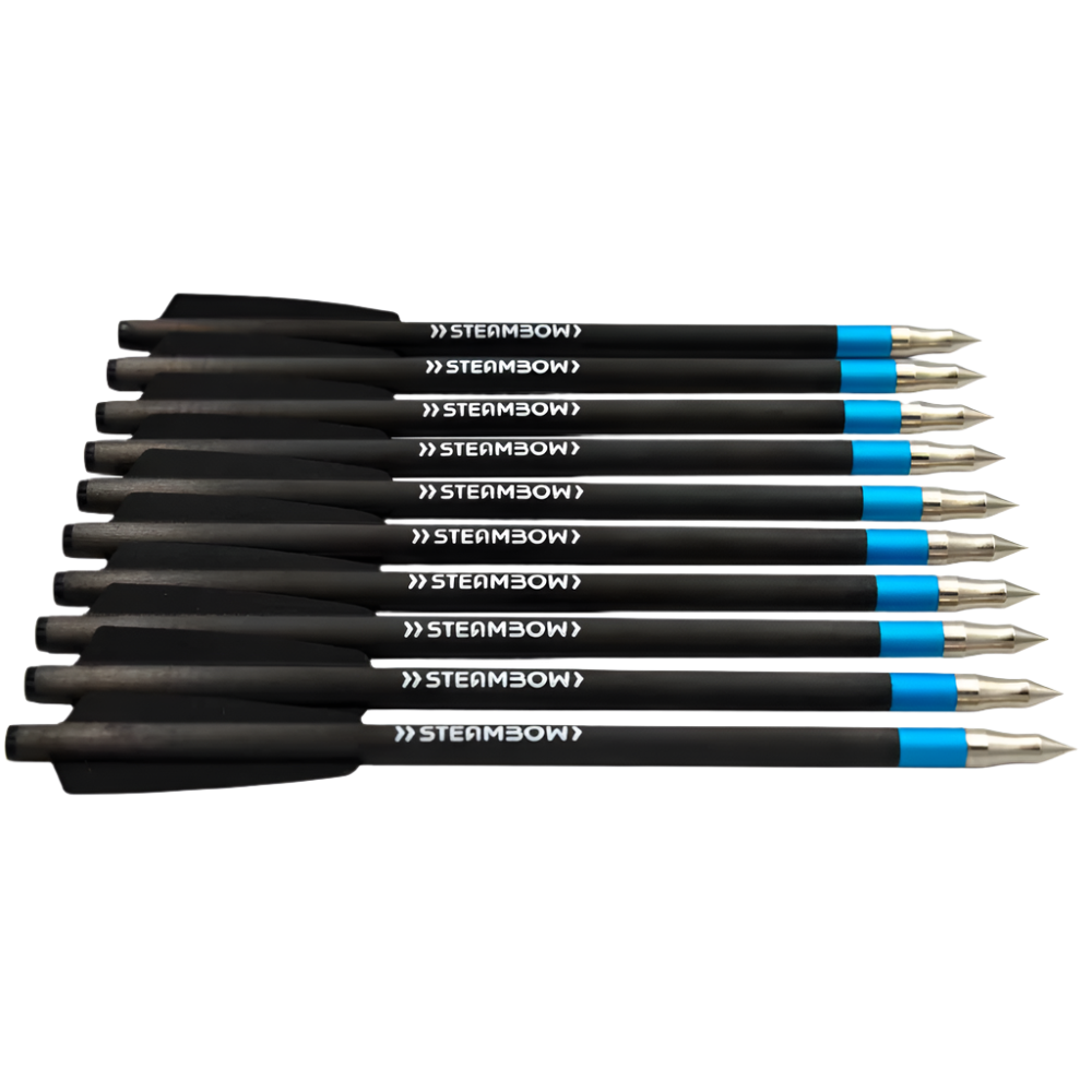 Fusil à air comprimé Steambow Bolt Carbon AR-Series Light Match ...